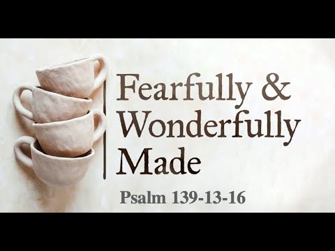 Fearfully and Wonderfully Made (Psalm 139:13-16)
