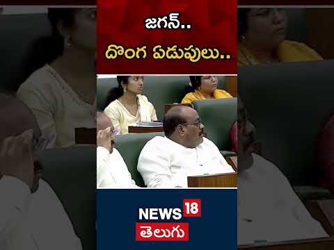 CM Chandrababu Challenges To YS Jagan In AP Assembly | #shorts | N18S