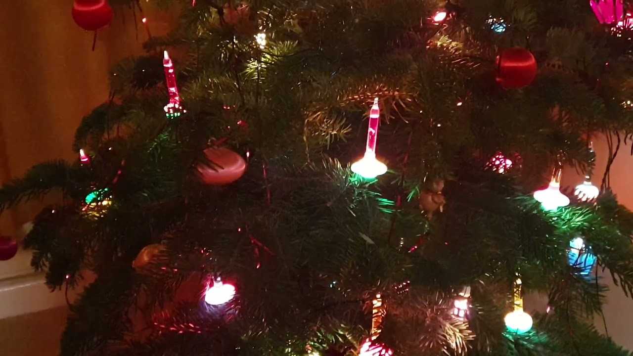 Noma Bubble Lights on the tree!