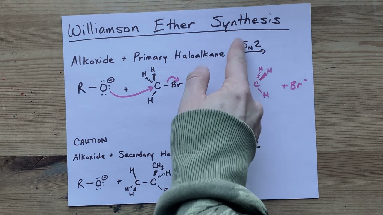 Williamson Ether Synthesis: Alkoxide + Primary Haloalkane
