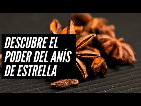 Para que Sirve el Anis de Estrella - Beneficios y Propiedades del Anis Estrellado
