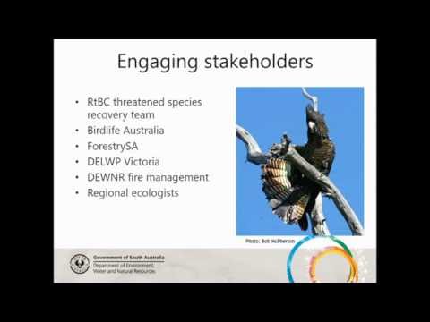 Fire management for Red-tails
