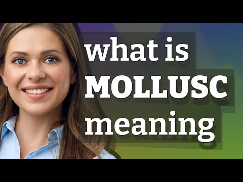 Mollusc | meaning of Mollusc