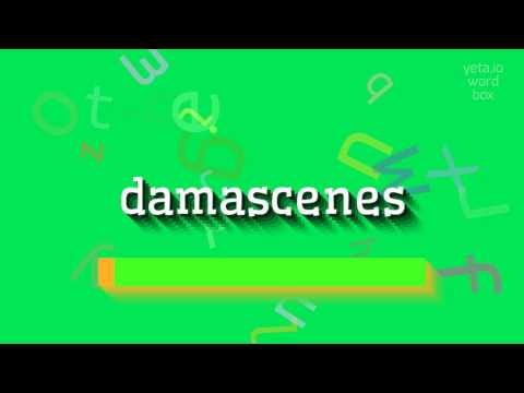 How to say "damascenes"! (High Quality Voices)