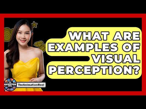 What Are Examples Of Visual Perception? - The Animation Reel