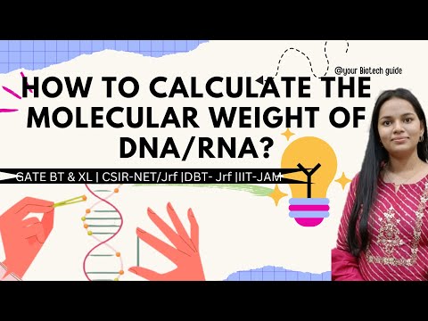 How to Calculate the length, no. of base pairs and molecular weight of DNA?