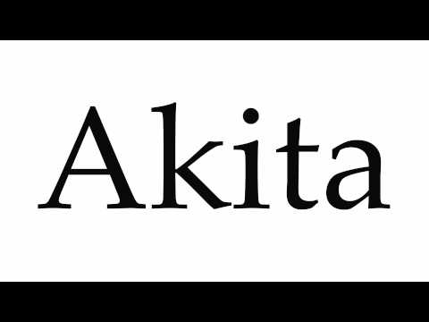 How to Pronounce Akita