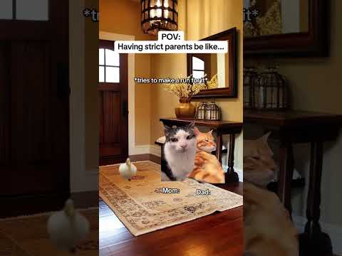 CAT MEMES π±Having strict parents be like... #catmemes #relatable #relationship