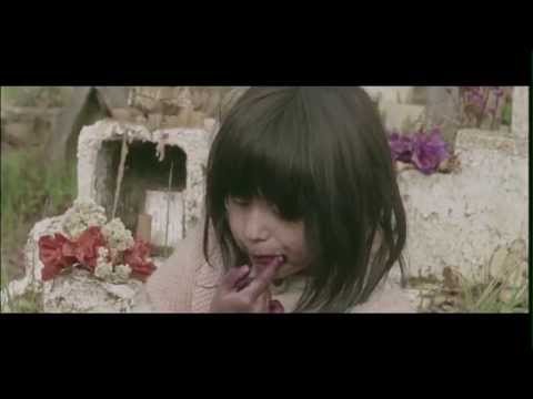 Sabías que en la película "Violeta se fue a los cielos" | Título del sitio