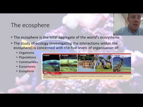 What is an ecosystem?