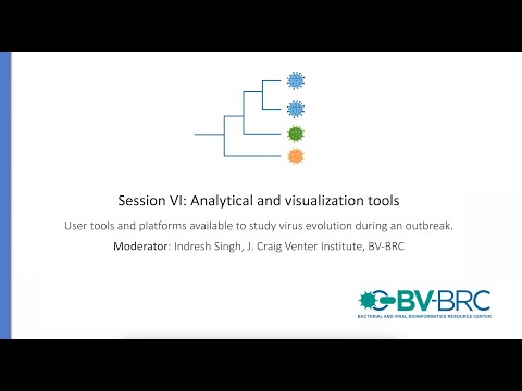 Session VI: Analytical and visualization tools