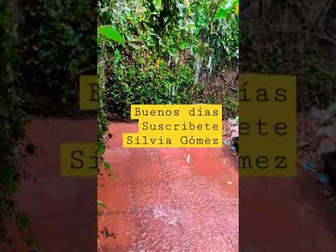 Buenos Días con esta rica lluvia