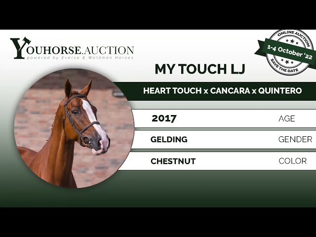 Youhorse.auction | My Touch