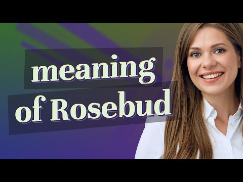 Rosebud | meaning of Rosebud