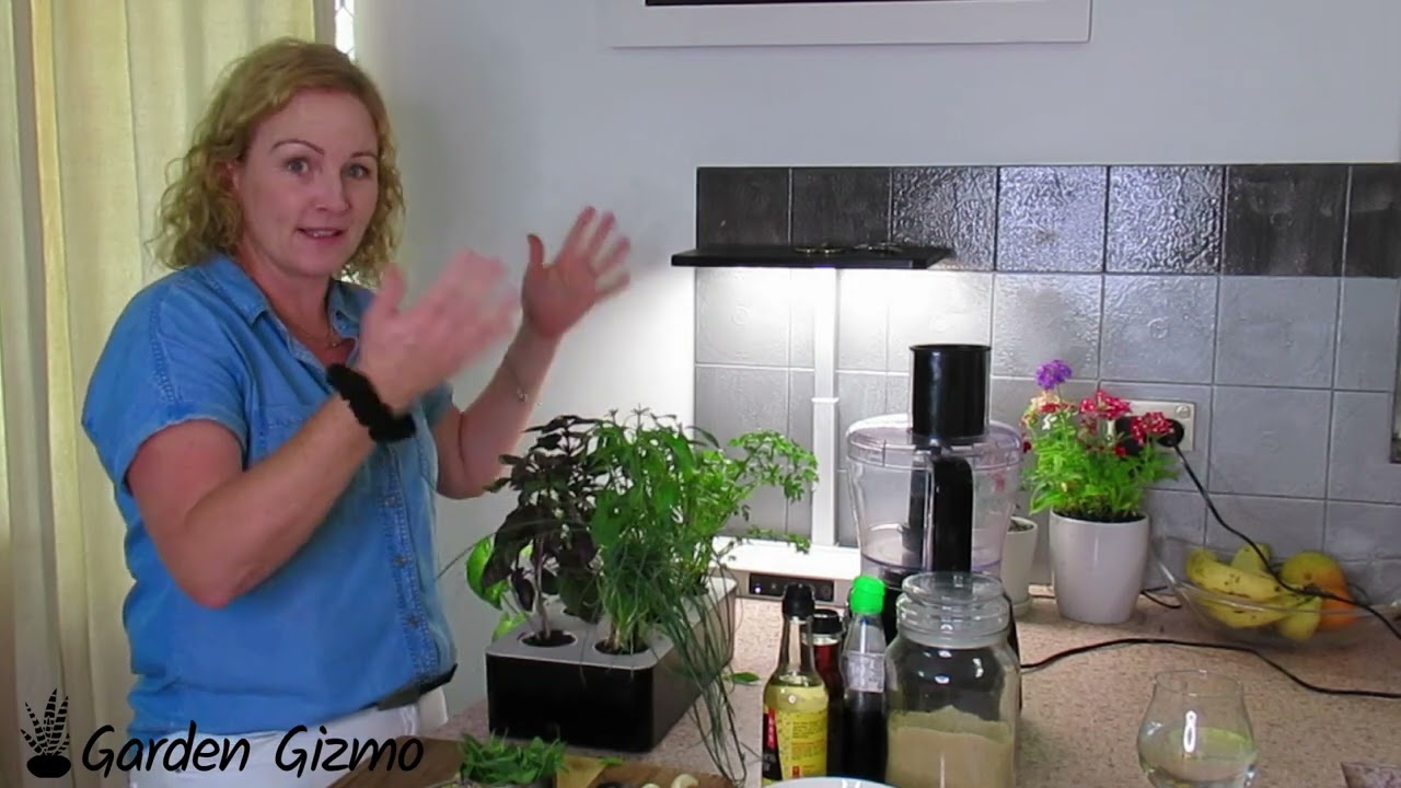 Thai Basil Pesto, Garden Gizmo