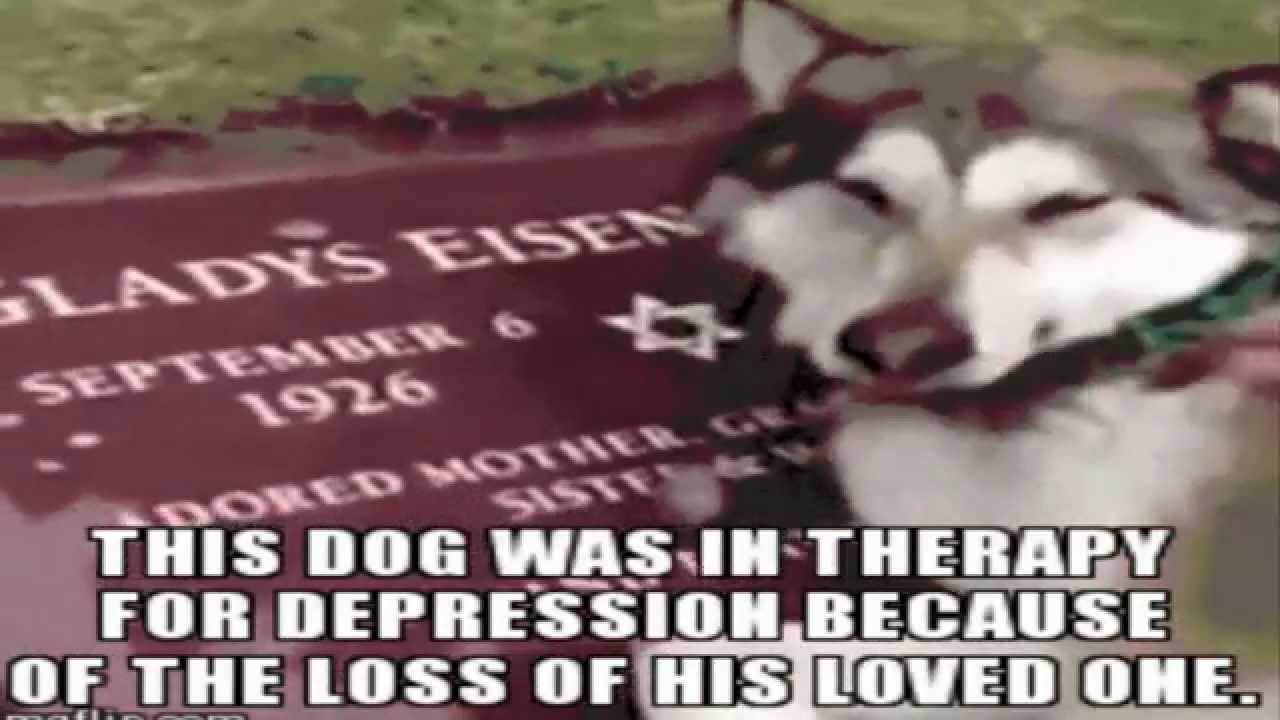 Lie down, try not to cry, cry alot