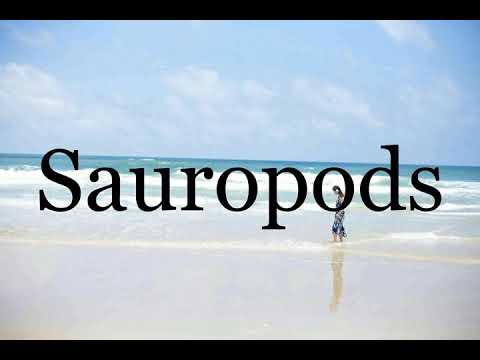 How To Pronounce Sauropods🌈🌈🌈🌈🌈🌈Pronunciation Of Sauropods