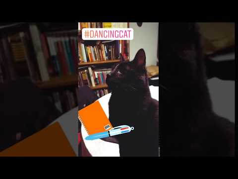 Steam Community :: Video :: Doki Doki Literature Cat