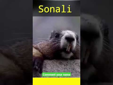 #sonali #comment your name #youtubeshort