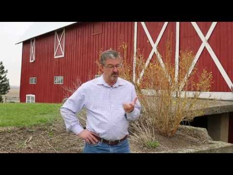 Farm Stories: Steve Pitstick - Maple Park, IL