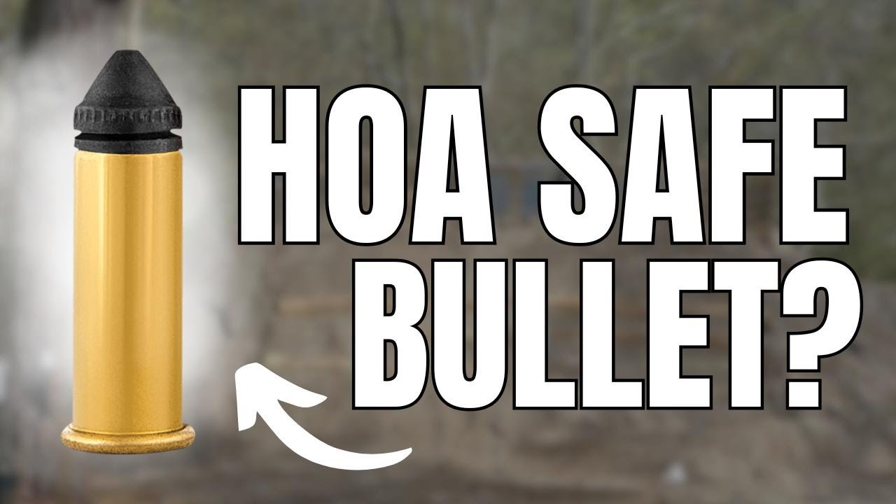 The Worlds Quietest Bullet: 22 Colibrí…