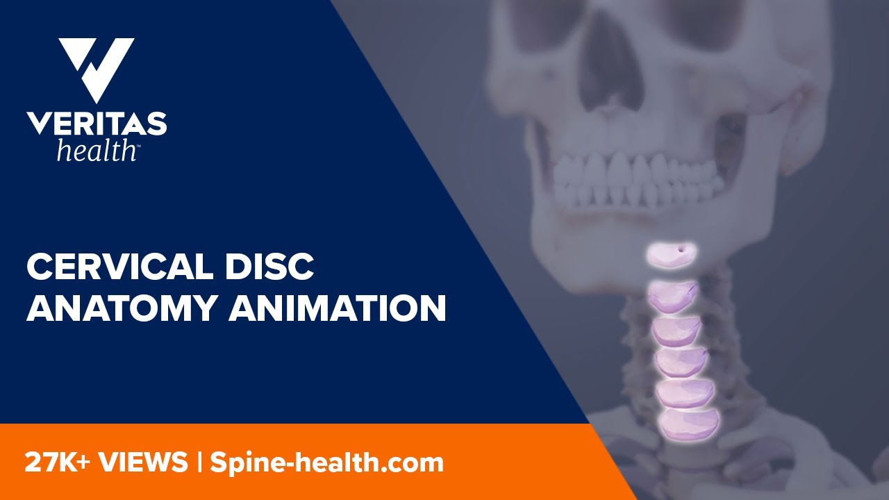 Cervical Disc Anatomy Animation