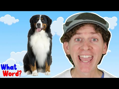 Let's Say Dog | What Word? With Matt | Dream English Kids