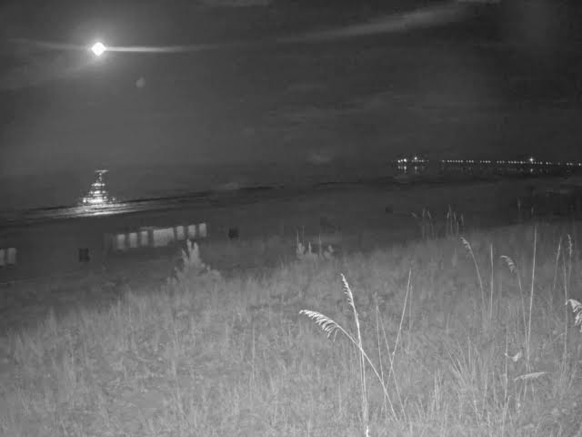 Panama City Beach Shoreline & Pier - Live Webcam | GeoWebcams
