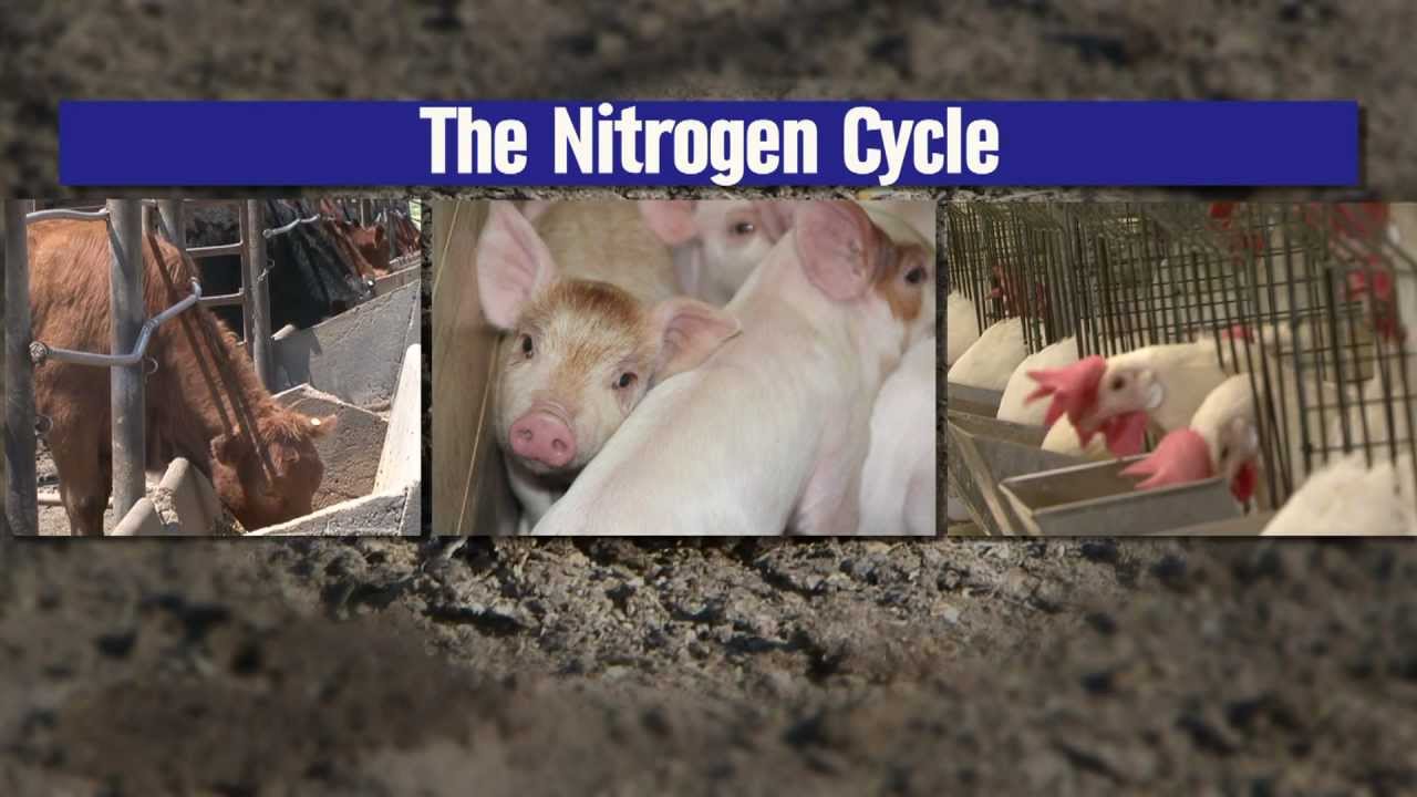 Modern Manure Management