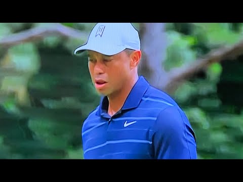 San Francisco Focus Blog: Megan Avalon: Pamela Sue Anderson and female ...