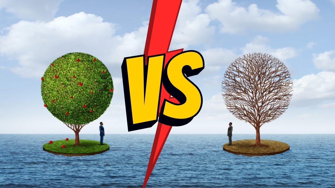 Abundance vs Scarcity Mindset