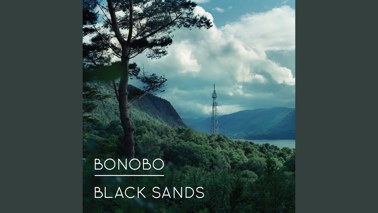 Stay The Same Bass Tab - Bonobo