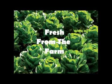 Organic Food Palm Beach 877-832-8289