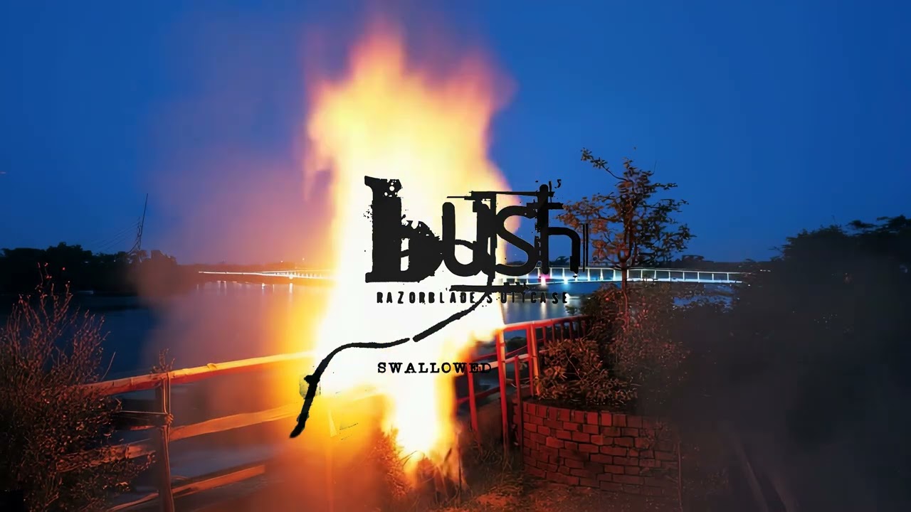 BUSH - Swallowed (Official Visualizer)