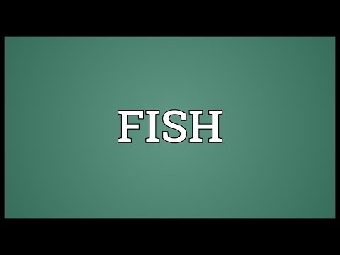 FISH Meaning
