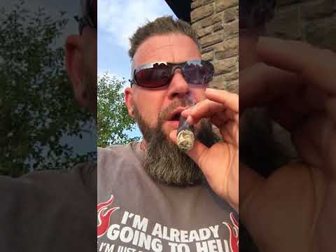 Macanudo maduro diplomat cigar review