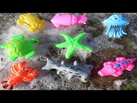 Sea Animal Toys Frozen and Unfrozen (Playtime4Kidz)