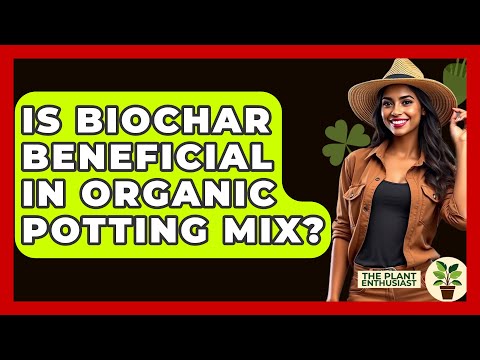 Is Biochar Beneficial In Organic Potting Mix? - The Plant Enthusiast
