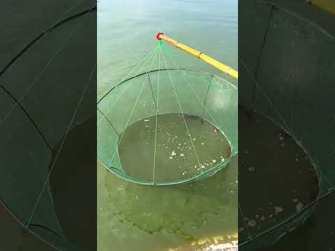 Outdoor fishing | Fishing net. #trap #breed