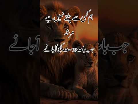 New viral attitude shayari | Attitude Tik tok Shayari Attitude poetry in urdu || #shorts