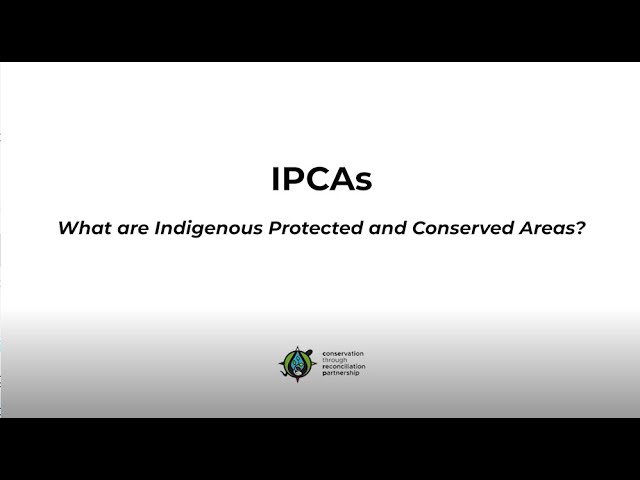 Understanding Indigenous Protected and Conserved Areas (IPCAs): A Path ...