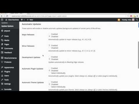 95 Easy Updates Manager Plugin