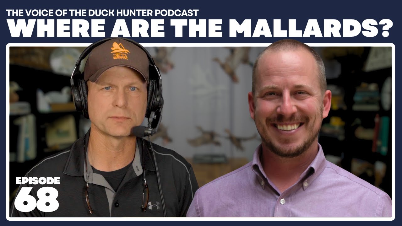 Ep. 68 | Where the Mallard Are: GPS Study Shows Changes in Migration and Hunter Avoidance