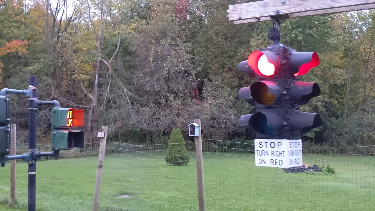 Backyard traffic signals at dusk.