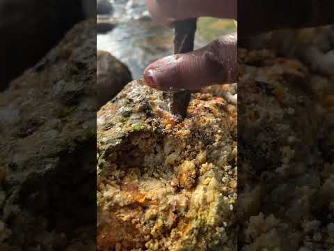 Is This The Rarest Mineral on Earth? Watch What Happens! #UndergroundMining #GoldMining #gold