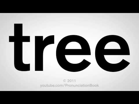 How To Pronounce Tree