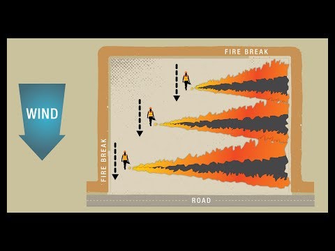 Prescribed Fire Ignition Techniques - Heading/Strip Head Fire