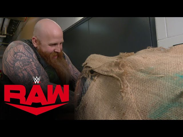 How WWE can make a success of the Erick Rowan spider storyline going ...