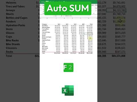 ADD Auto Sum Magic to Your Excel Reports NOW!