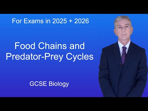 GCSE Biology Revision "Food Chains and Predator-Prey Cycles"